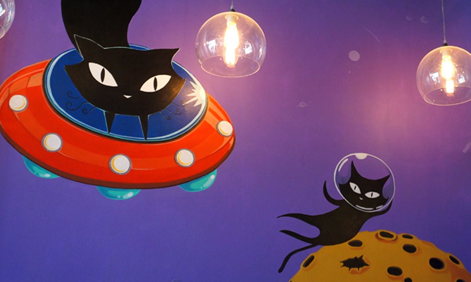 Catmosphere: A Visit To The Cat Café In Chiang Mai - Breathing Travel