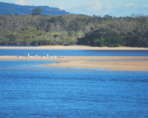 7 Reasons To Visit Noosa - Breathing Travel